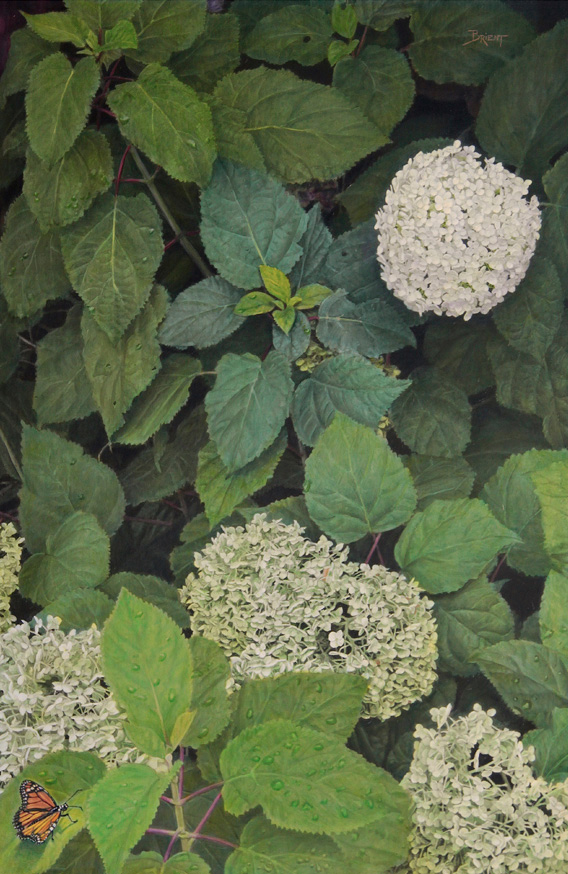 Florales | Daniel Brient